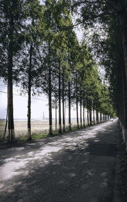 Download Linear Algebra and Its Applications 6th Edition PDF